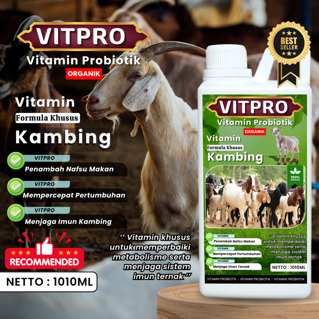 Jual COD VITPRO Penggemuk Kambing 100% Vitamin Hewan Ternak Aman ...