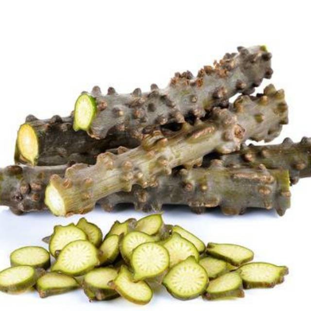 Jual Batang brotowali segar 1kg batrawali/bratawali herbal bisa ditanam ...