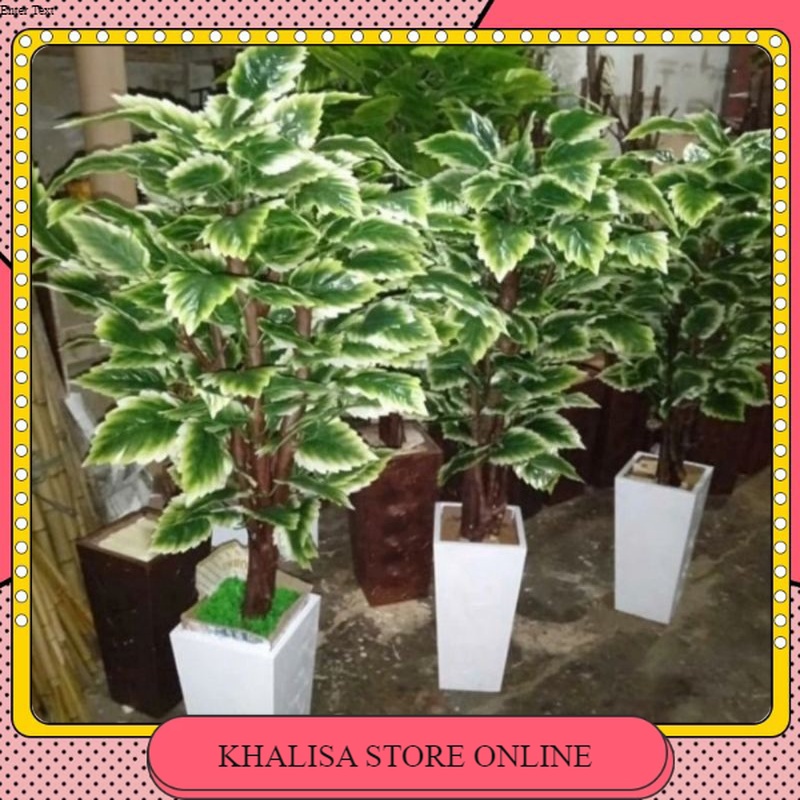 Jual (PROMO ) POHON GERIGI ARTIFICIAL DAUN PREMIUM / BUNGA HIAS SUDUT ...