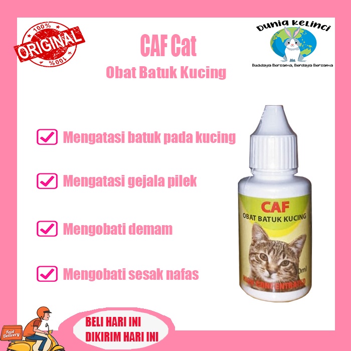 Jual Obat batuk kucing CAF 30 ml | Shopee Indonesia