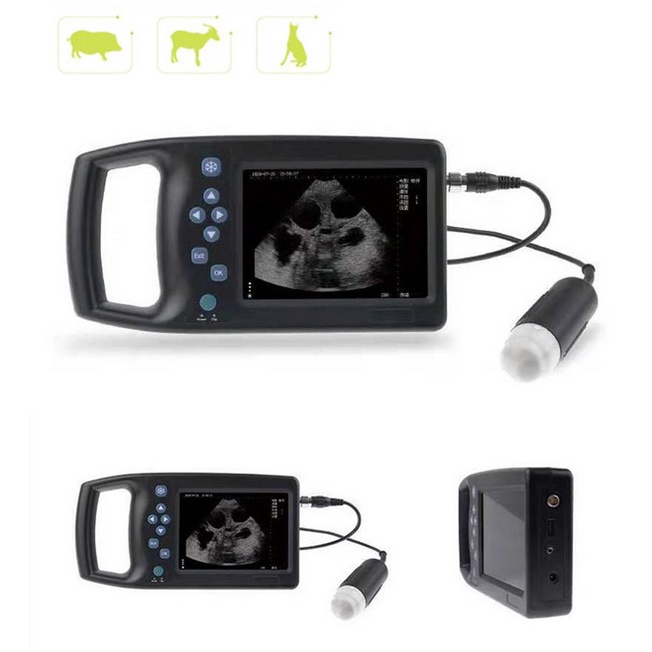 Jual usg hewan/alat usg hewan untuk anjing,babi,domba | Shopee Indonesia