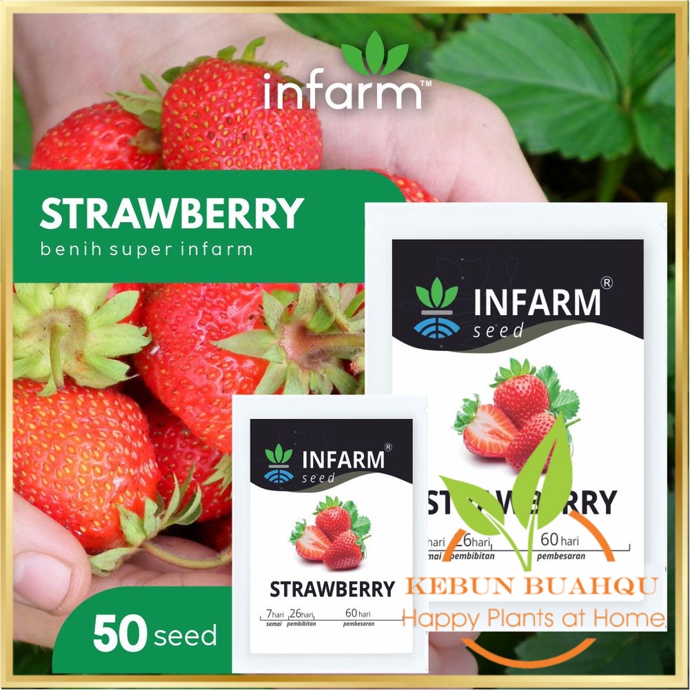 Jual INFARM - Benih Bibit Biji Super Buah Strawberry Stroberi (Red ...