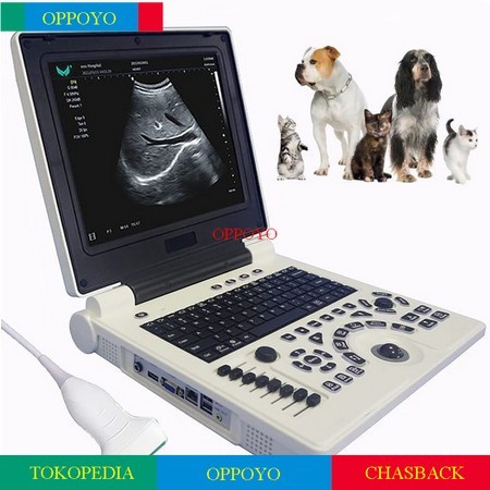 Jual Alat USG pemindai Ultrasound hewan ternak kehamilan probe cembung ...