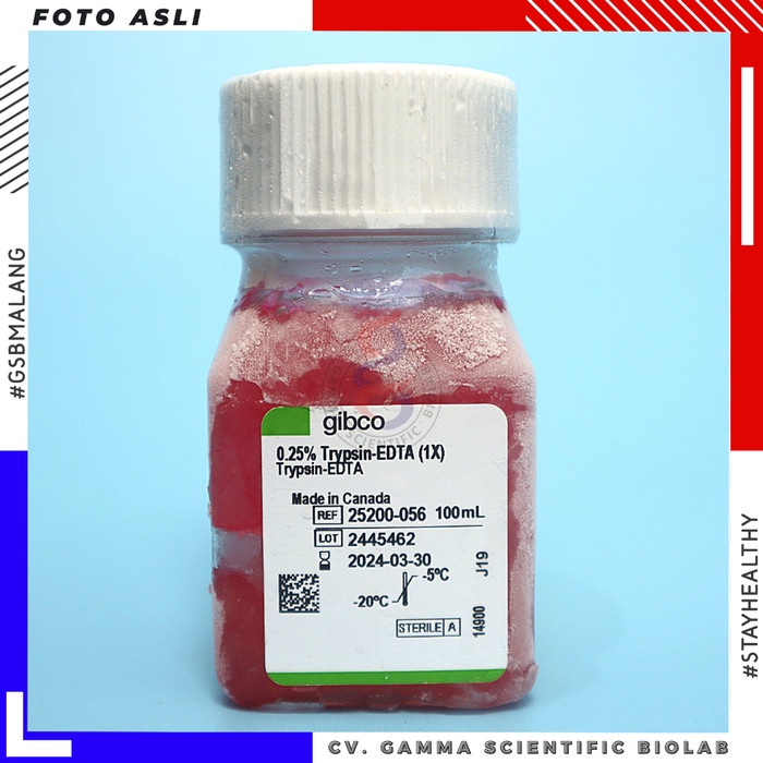 Jual Trypsin-EDTA (0.25%), phenol red 100 mL | GIBCO | 25200-056 ...
