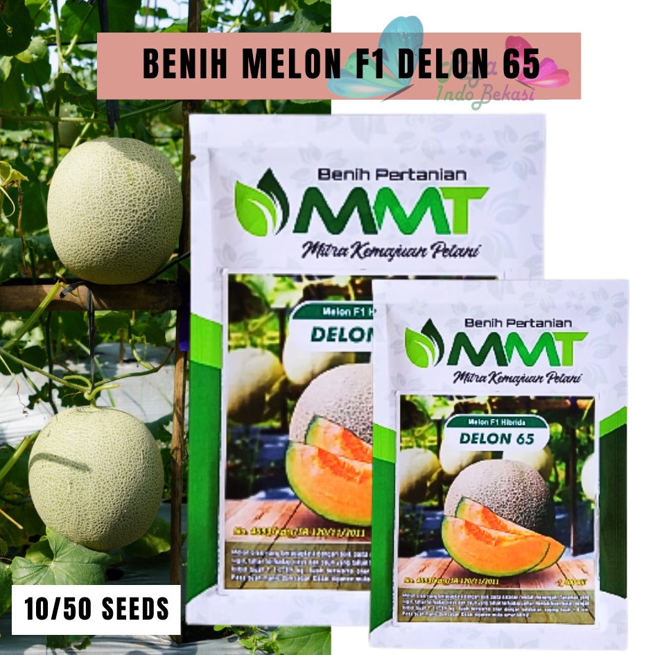 Jual ORI Biji Benih MELON F1 HIBRIDA DELON 65 MMT 400 Seed - Kemasan ...