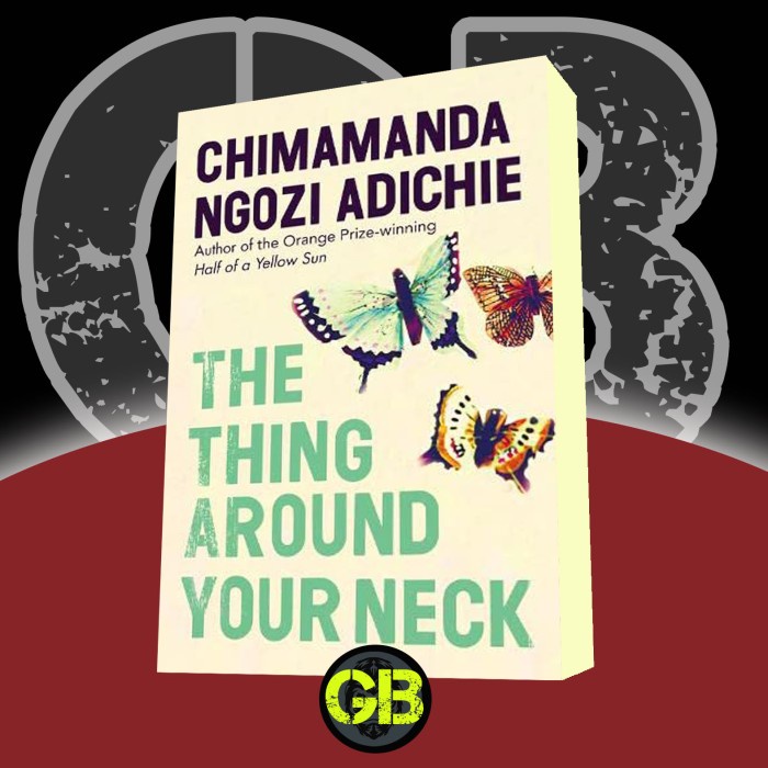 Jual Buku The Thing Around Your Neck Chimamanda Ngozi Adichie | Shopee ...