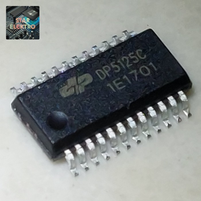 Jual DP5125C SSop-24 SMD DP 5125 DP5125 DP5125D IC LED Current Driver ...