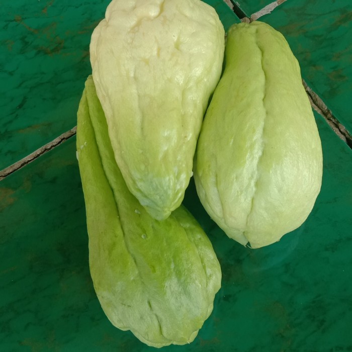 Jual labu siam sayur besar/ kecil buat lalap 500grm | Shopee Indonesia