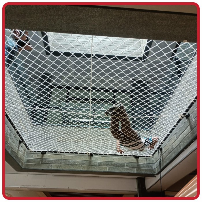 Jual jaring pengaman jaring safety net nilon 6mm bentuk WAJIK. Ready ...