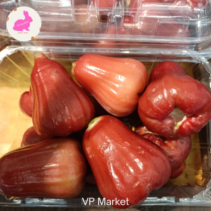 Jual Jambu Air Bangkok Merah Manis | Jambu Air Bangkok Daging Tebal ... Jual Jambu Air Bangkok Merah Manis | Jambu Air Bangkok Daging Tebal ...