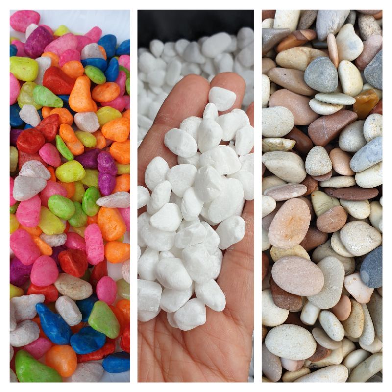 Jual (1 ktg) BATU CORAL (600gr) kerikil kecil putih bersih, warna warni ...