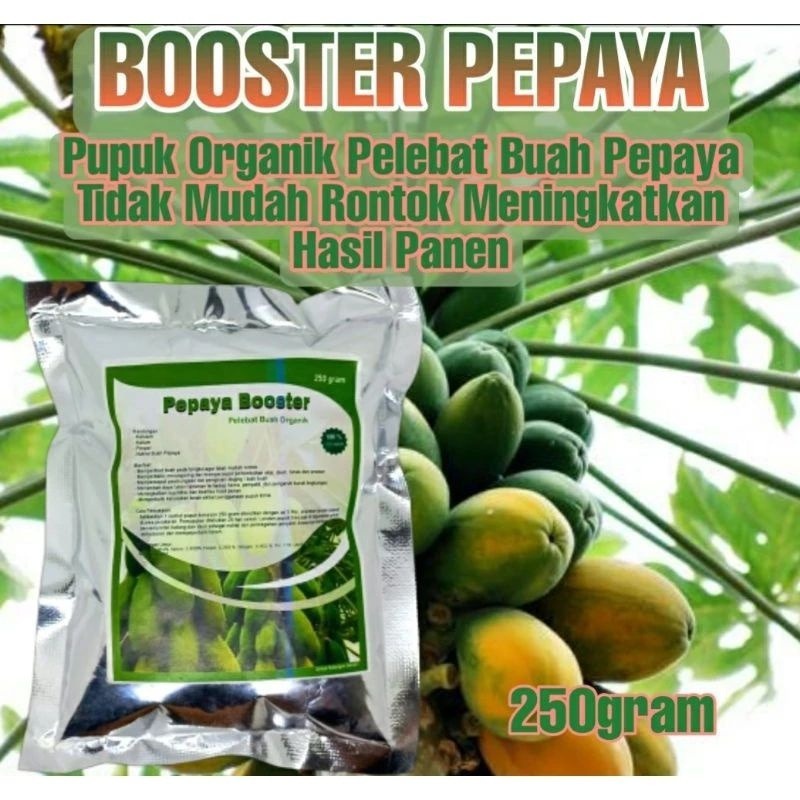 Jual Pupuk Pepaya Booster 250 gram - Pupuk Multifungsi Pelebat Buah Pepaya 250 gram | Shopee ...