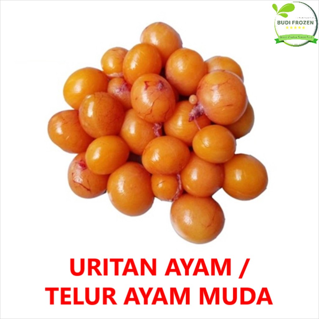 Jual TELUR MUDA / URITAN / TELUR AYAM MUDA / BAKAL TELUR AYAM / 500 GR ...
