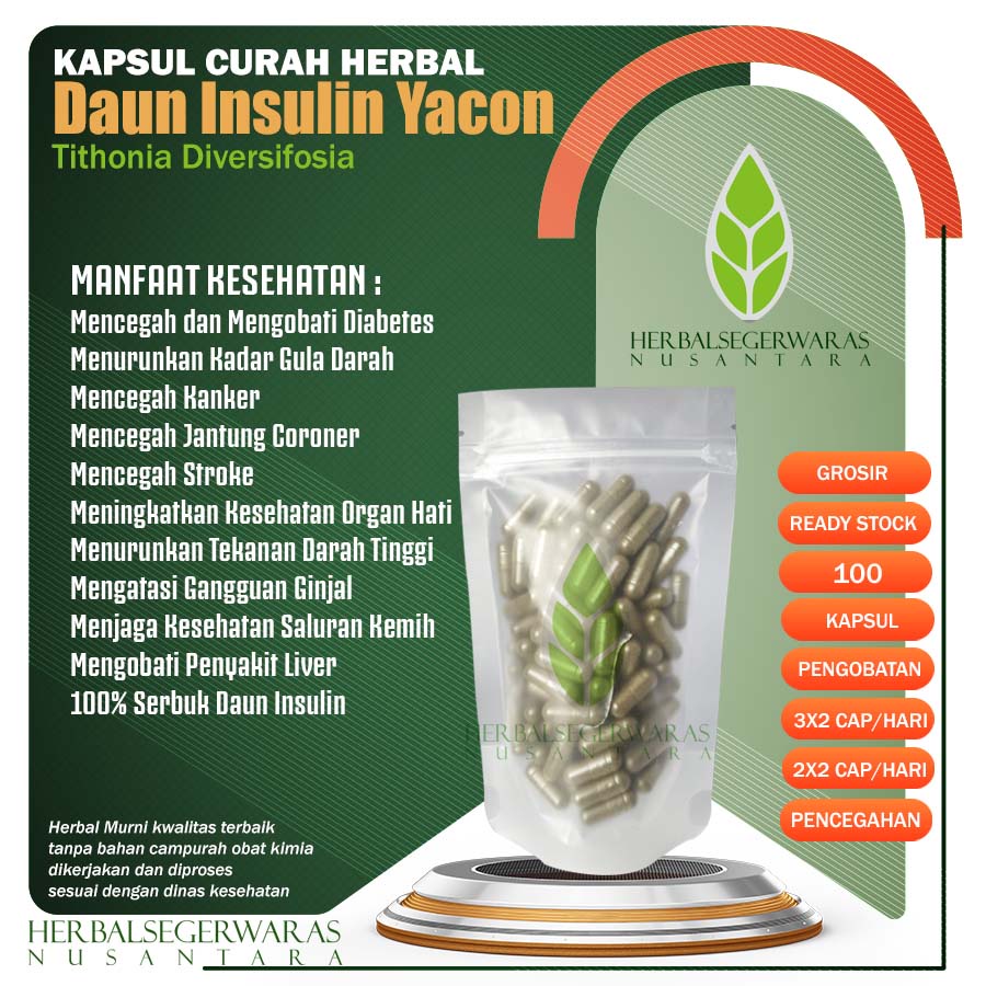 Jual DAUN INSULIN YACON 100 Kapsul Curah Herbal Stroke Diabetes Liver ...