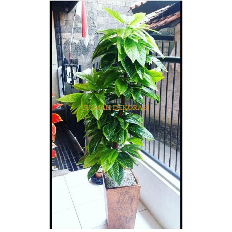 Jual pohon artificial golden lucky 150cm - pohon plastik- daun hijau ...