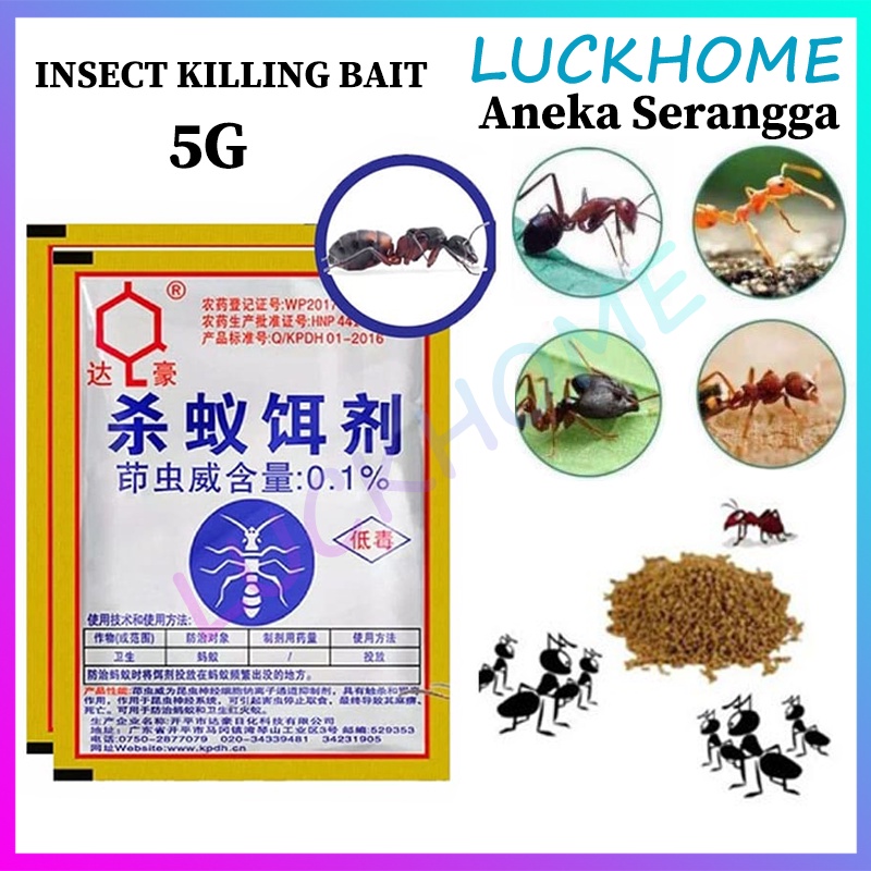 Jual 50PCS Racun Semut Emas Pembasmi Koloni Semut Pembasmi Semut Rayap dan Kecoa Ampuh Basmi ...