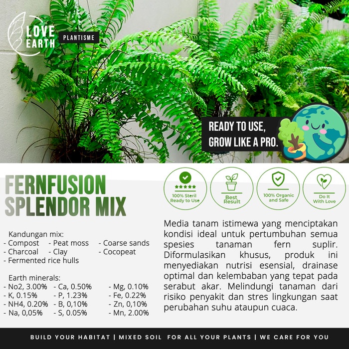 Jual Fernfusion Splendor Soil Mix - Media Tanam Semua Jenis Pakis ...