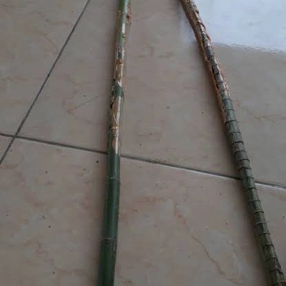 Jual BATANG PALEM WAREGU BAHAN ALAT PANCING/KERAJINAN 160cm | Shopee ...