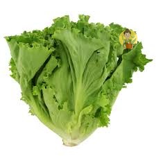 Jual Selada Kriting 250 gram - Sayur Segar Instan Malang | Shopee Indonesia