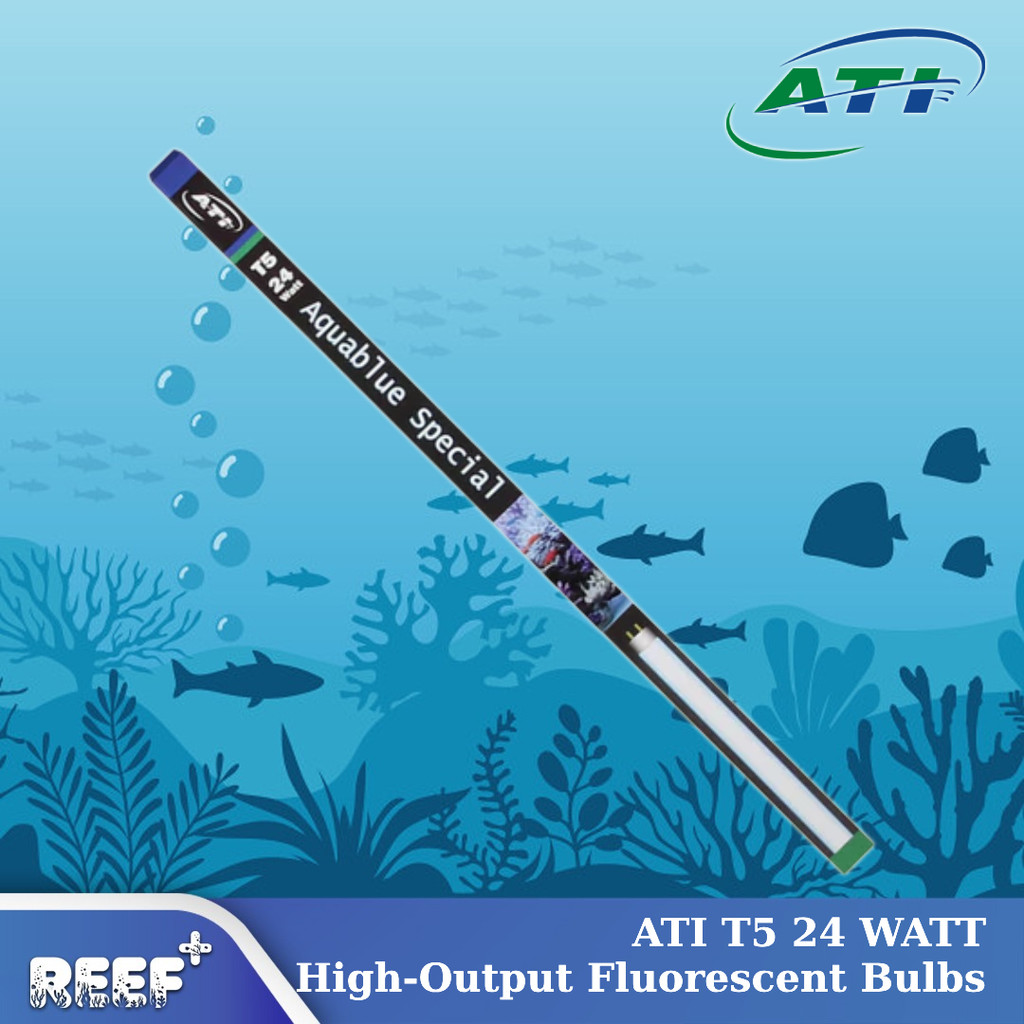 Jual ATI T5 24 Watt Lampu Aquarium High Output Light Bulb - Aquablue ...