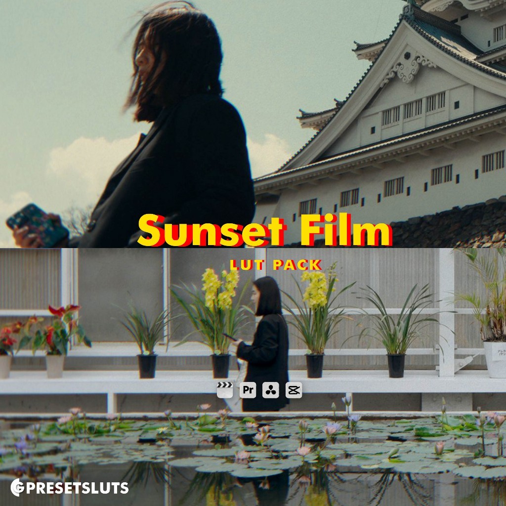 Jual Sunset Film LUTs Pack | ADOBE PREMIERE DAVINCI RESOLVE | Shopee ...