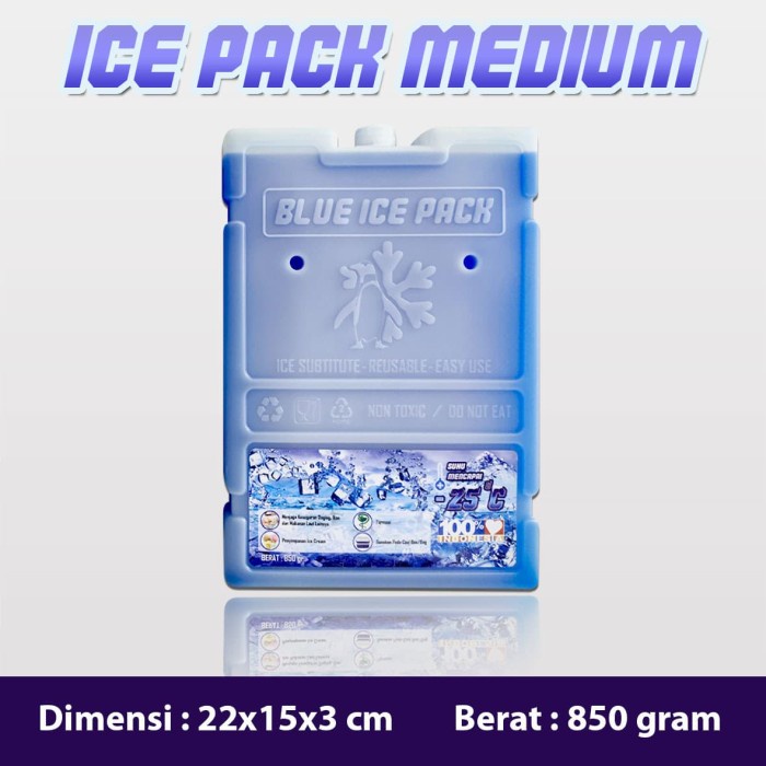 Jual Ice Pack Sedang Cooler Box Pengganti Dry Ice 22 x 15 x 3 cm ...