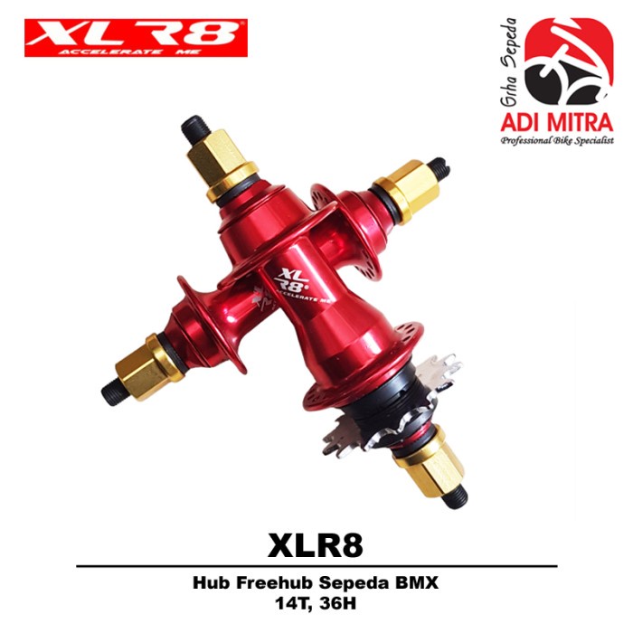 Jual Hub Freehub XLR8 BMX 14T 36 Hole Single Speed - Hub Freehub Sepeda ...