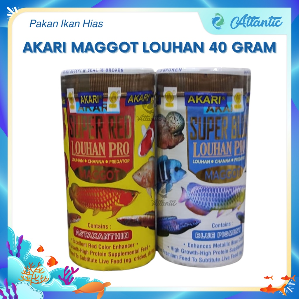 Jual Akari Maggot Blue Red Pakan Ikan Louhan Akari Maggot 40 Gram ...