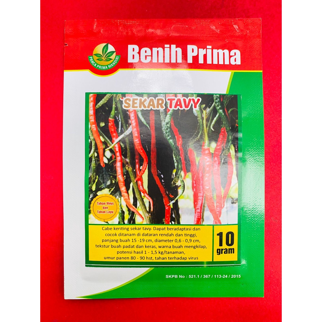 Jual Benih Cabe Besar SEKAR TAVY kemasan 10gr tha virus dan layu dari ...