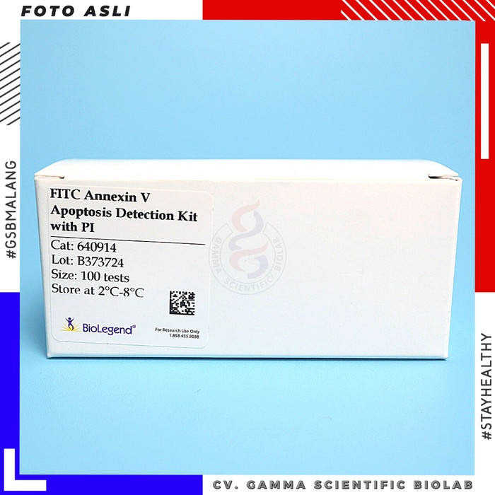 Jual FITC Annexin V Apoptosis Detection Kit with PI (640914 ...