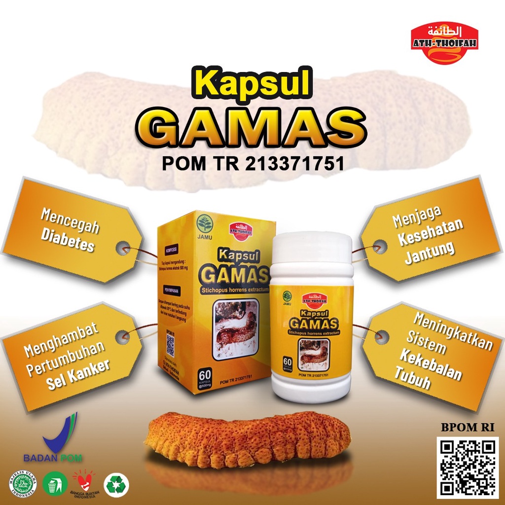 Jual KAPSUL TERIPANG LAUT ! kapsul GAMAT EMAS/GAMAS GOLD isi 60 kapsul ...