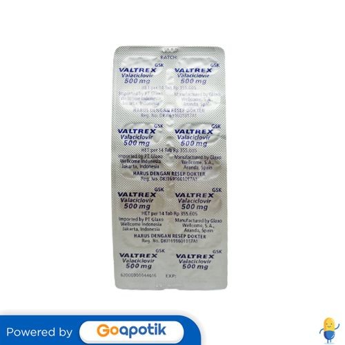 Jual Valtrex 500 Mg Strip 14 Tablet | Shopee Indonesia