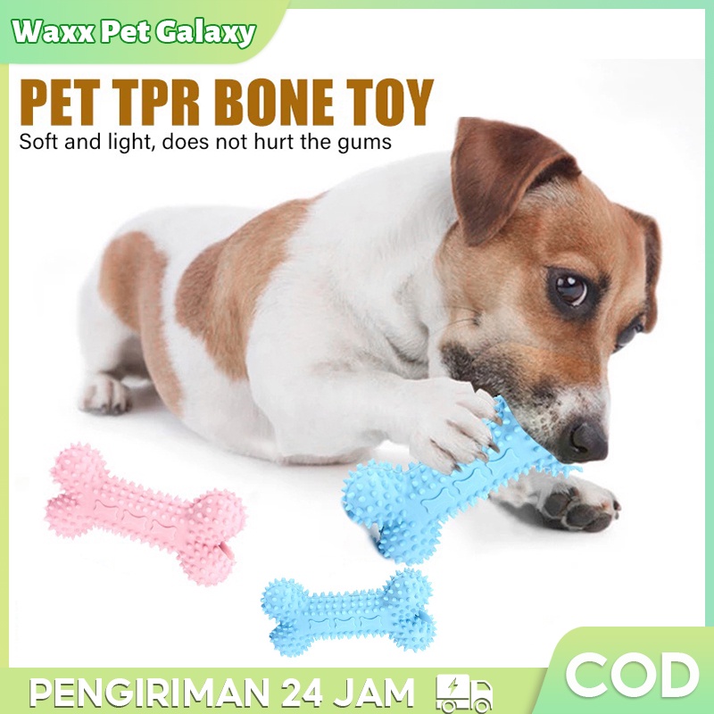 Jual Mainan Gigit Anjing Tulang Karet Elastis Tahan Banting Dog Toy ...