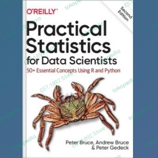 Jual Buku Practical Statistics for Data Scientists | Shopee Indonesia