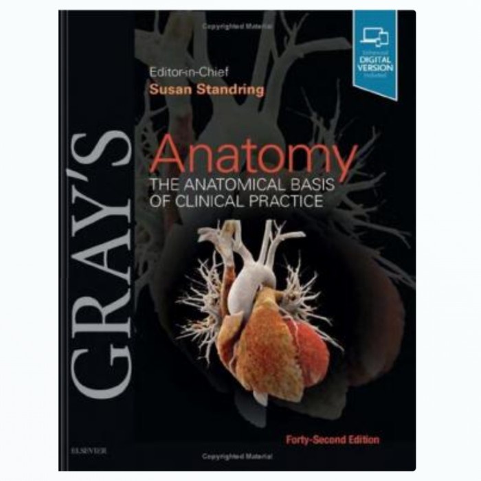 Jual Buku Gray's Anatomy: The Anatomical Basis Of Clinical Practice ...