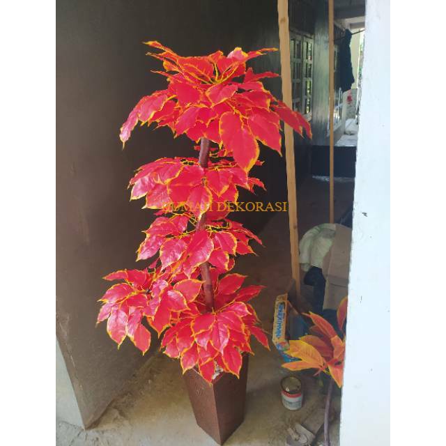 Jual pohon hias daun singfu merah list kuning 150cm-pohon artificial ...