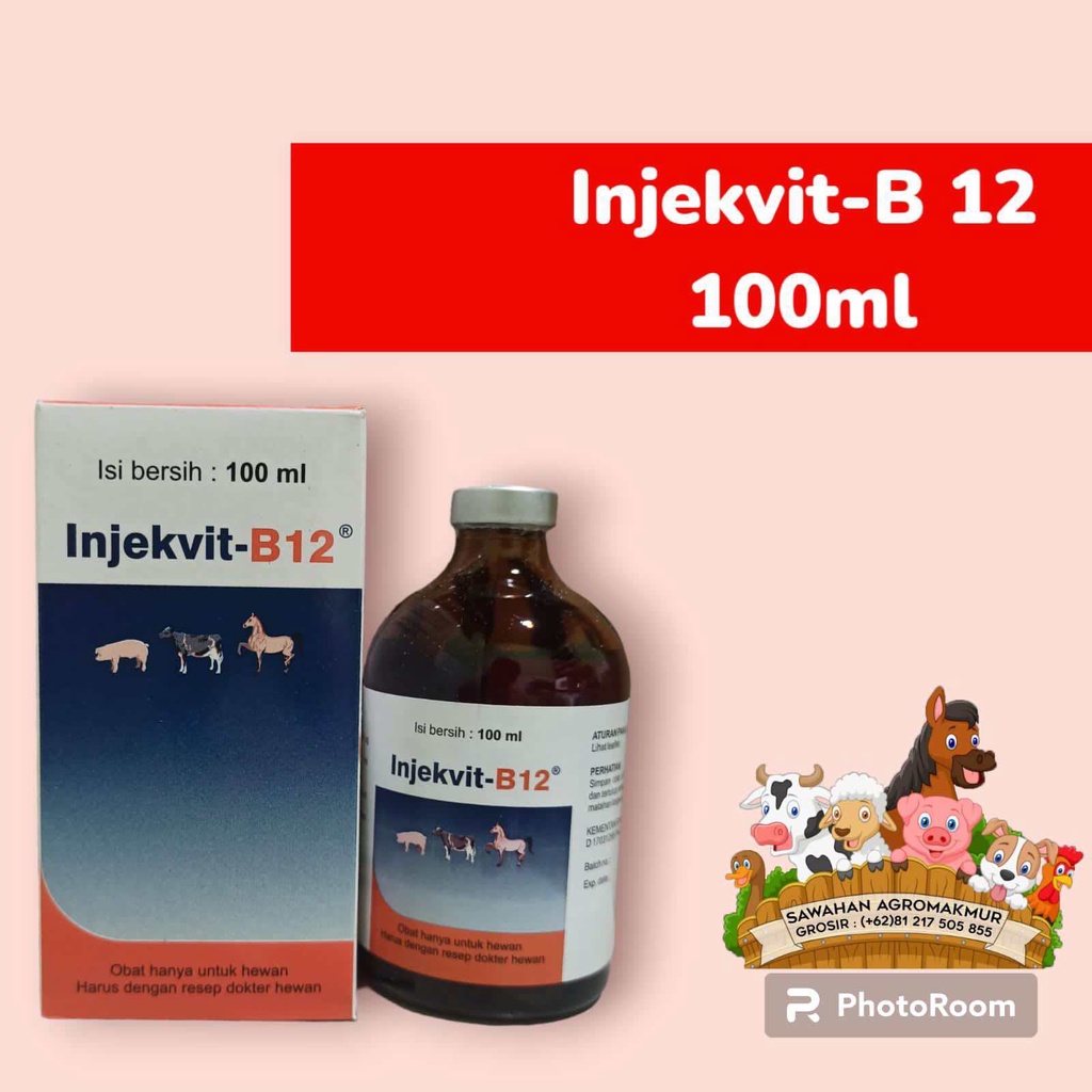 Jual injekvit b12 vitamin b 12 obat tambah darah pucat hewan kelinci ...