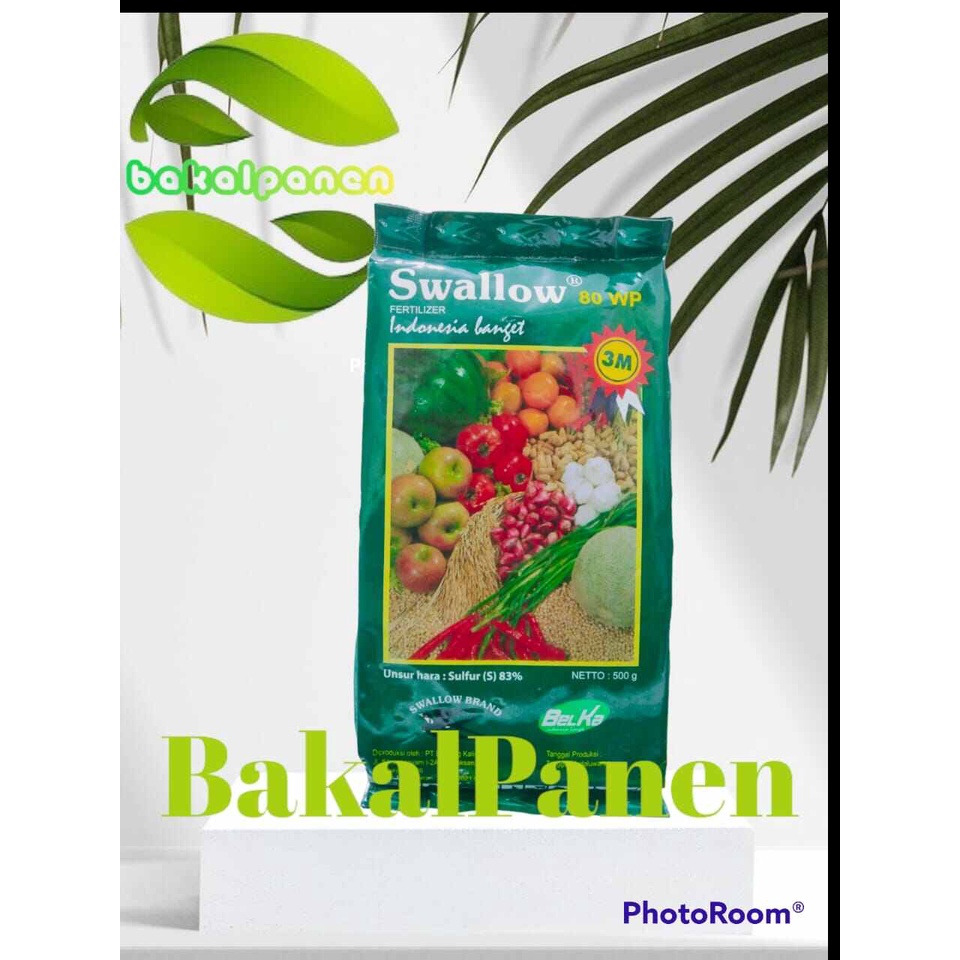 Jual Fungisida pupuk sulfur belka SWALLOW 80WP 500gr | Shopee Indonesia