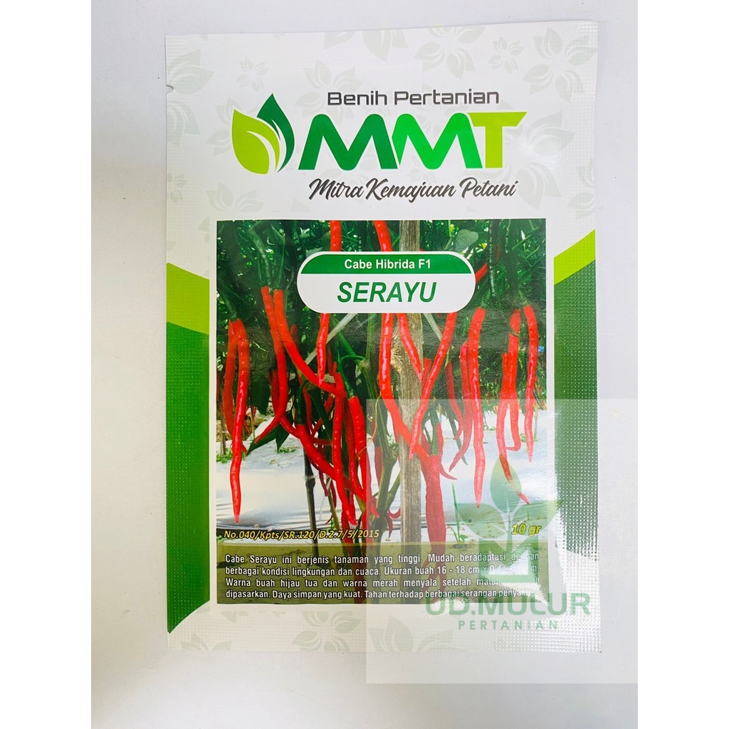 Jual Benih cabai keriting hibrida f1 SERAYU isi 10gr dari MMT | Shopee ...