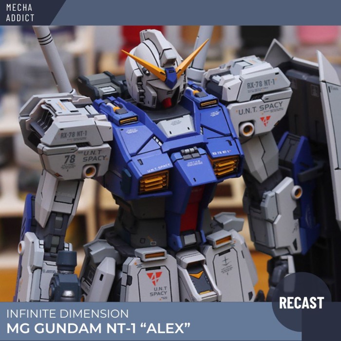 Jual Infinite Dimension Resin Conversion Kit MG Gundam NT-1 Alex ...