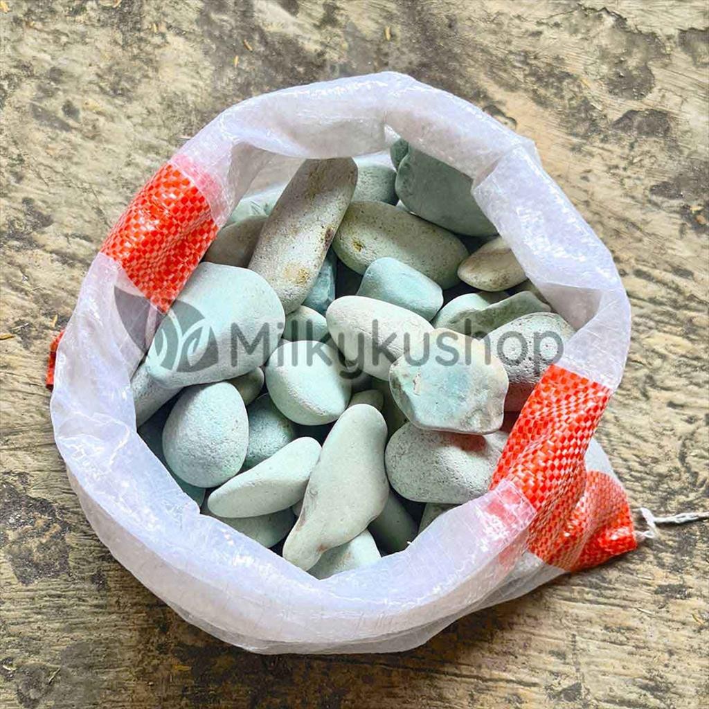 Jual BATU KORAL HIJAU FLORES BESAR - HIAS TAMAN AQUASCAPE VIA CARGO | Shopee Indonesia