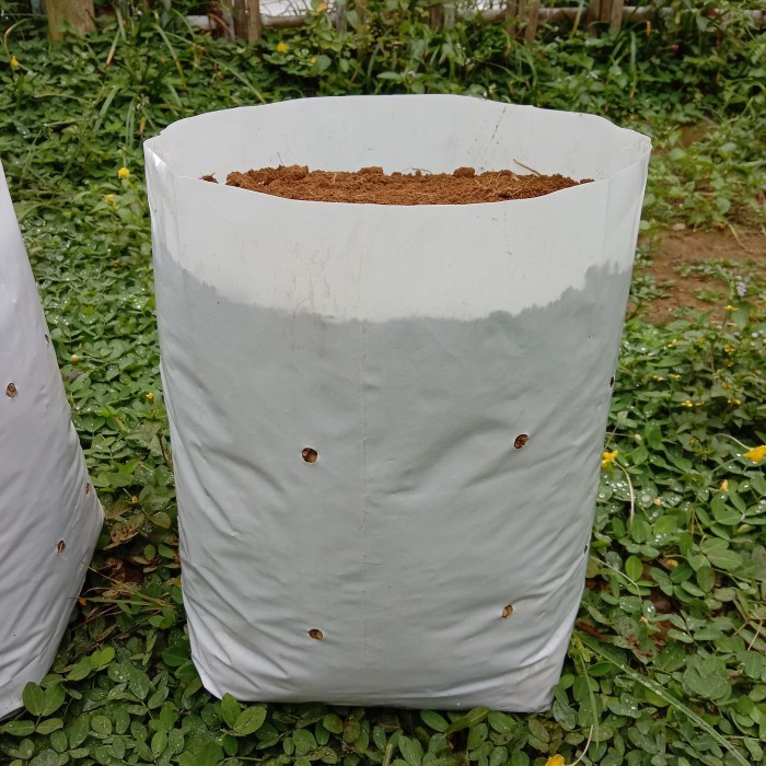 Jual Polybag Putih 35 x 35 ( 56 Lembar ) | Shopee Indonesia