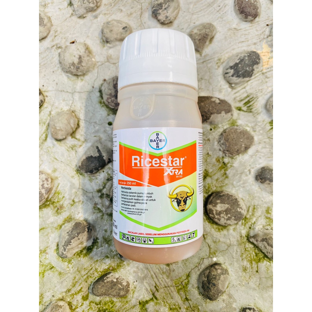 Jual Herbisida sistemik purna tumbuh RICESTAR XTRA 89 OD isi 250ml dari ...