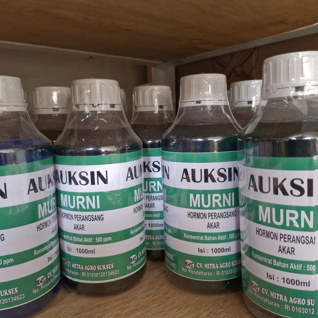 Jual Auksin Murni 1 Liter – Hormon Perangsang Akar untuk Tanaman ...