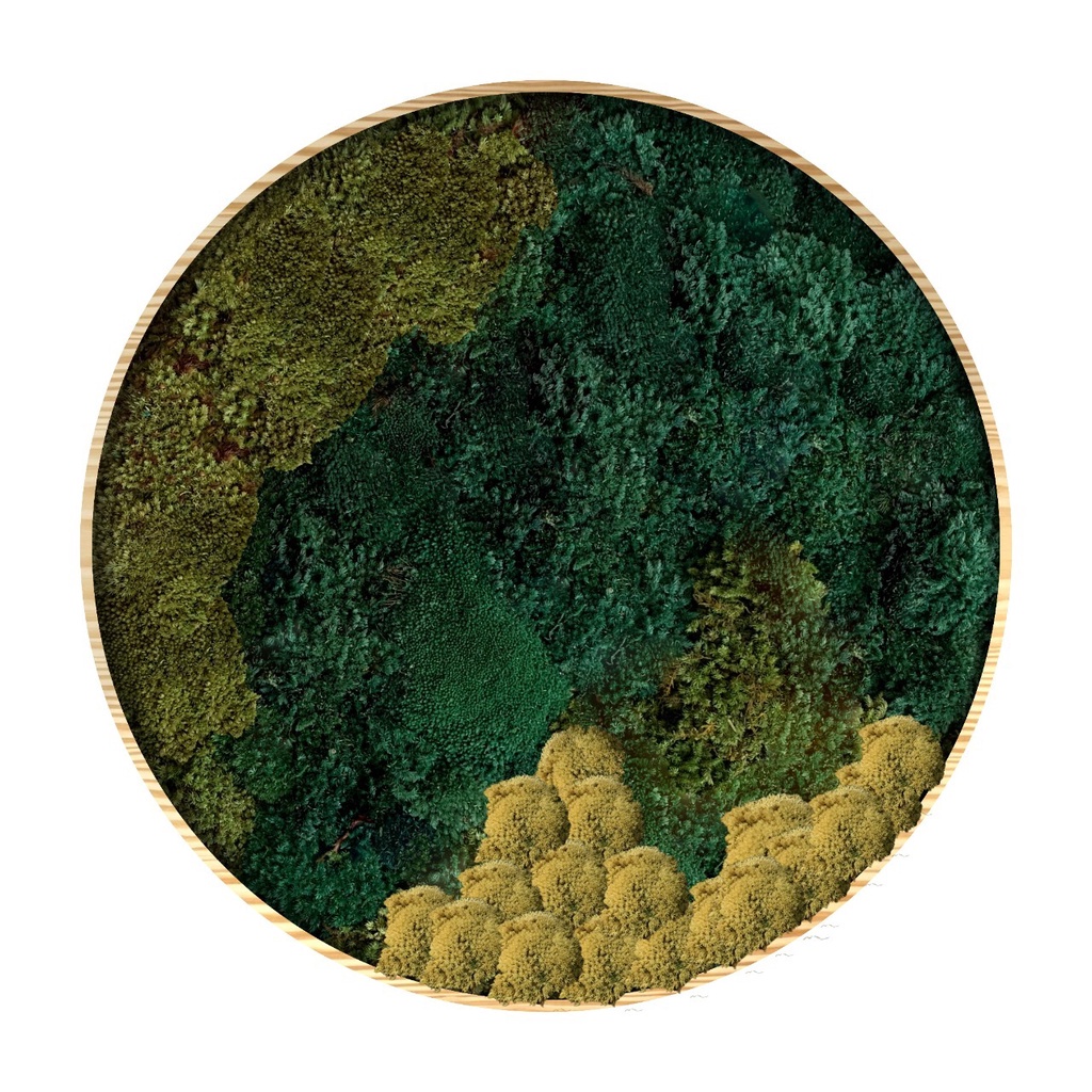 Jual Round Moss Wall Diameter 60cm | Shopee Indonesia