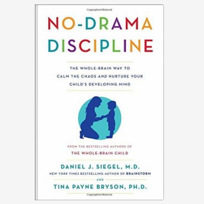 Jual No-Drama Discipline: The Whole-Brain Way to Calm the Chaos and ...