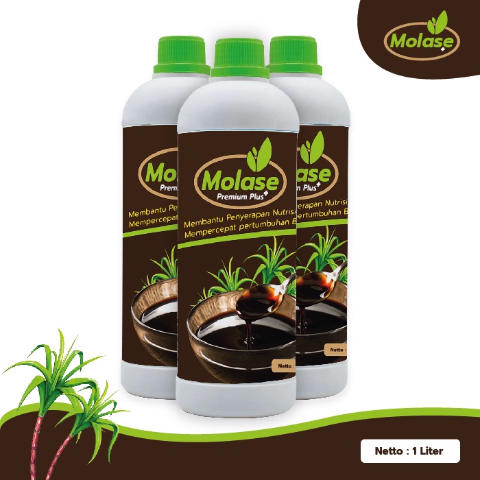 Jual MOLASE Premium Plus+ 1 Liter Kualitas Terbaik | Shopee Indonesia