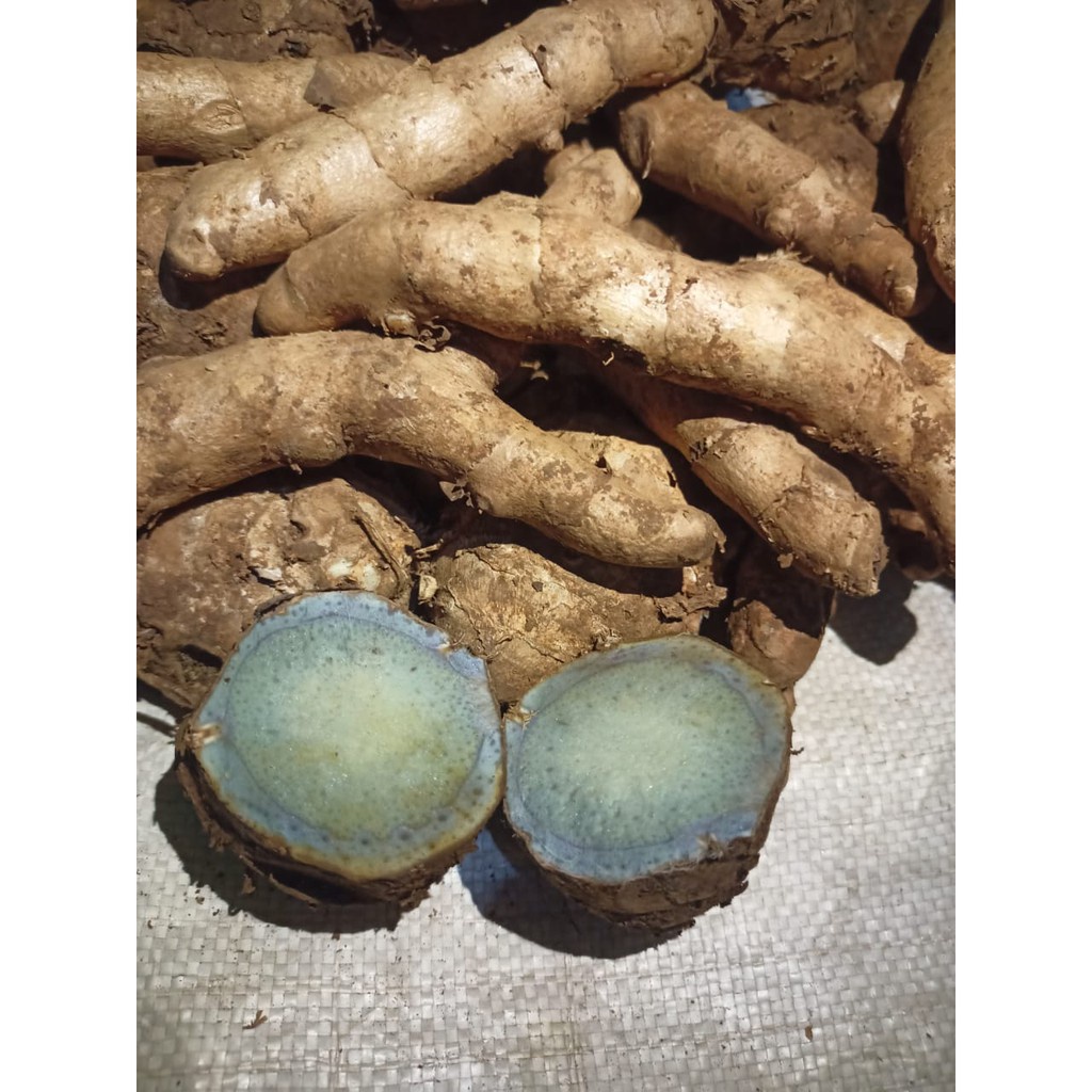 Jual TEMU IRENG SUPER 1 KG SEGAR ALAMI TUA (COD) | Shopee Indonesia