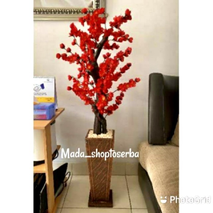Jual Pohon Hawai dan sakura jumbo mewah tinggi pot cor ukir - Sakura 1m ...