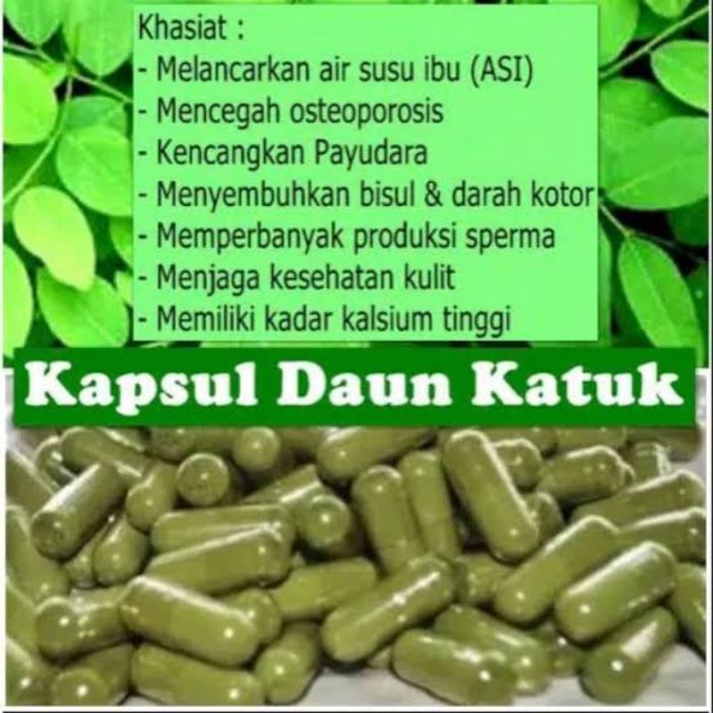Jual PELANCAR ASI - ASI BOOSTER DAUN KATUK KAPSUL - AMY | Shopee Indonesia